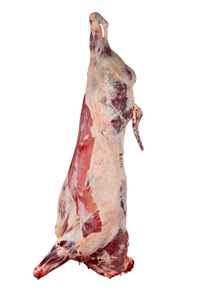Halal Beef Carcass – Full or Half | Bone-In (Pre-Order)